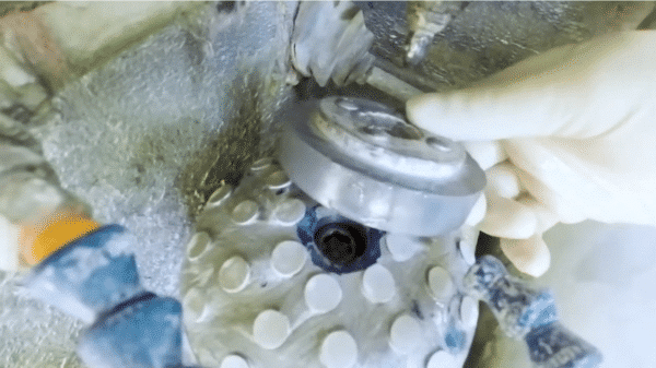 How Are Safety Glasses Made Safety Protection Glasses